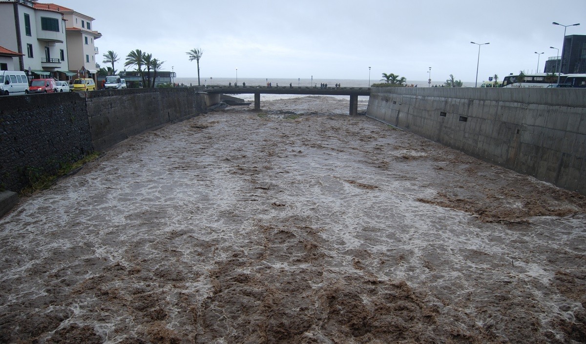 heavy rains disrupt life in up 10 people killed in rain related ...