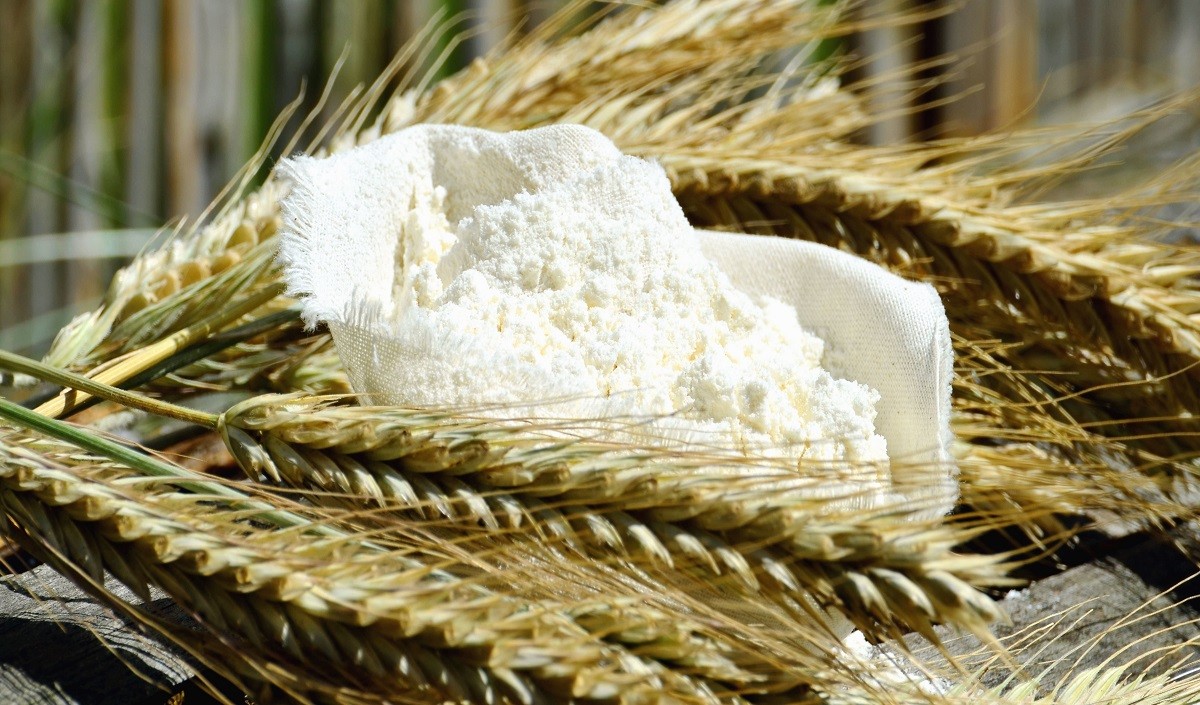 export oriented units got approval for export of wheat flour ...