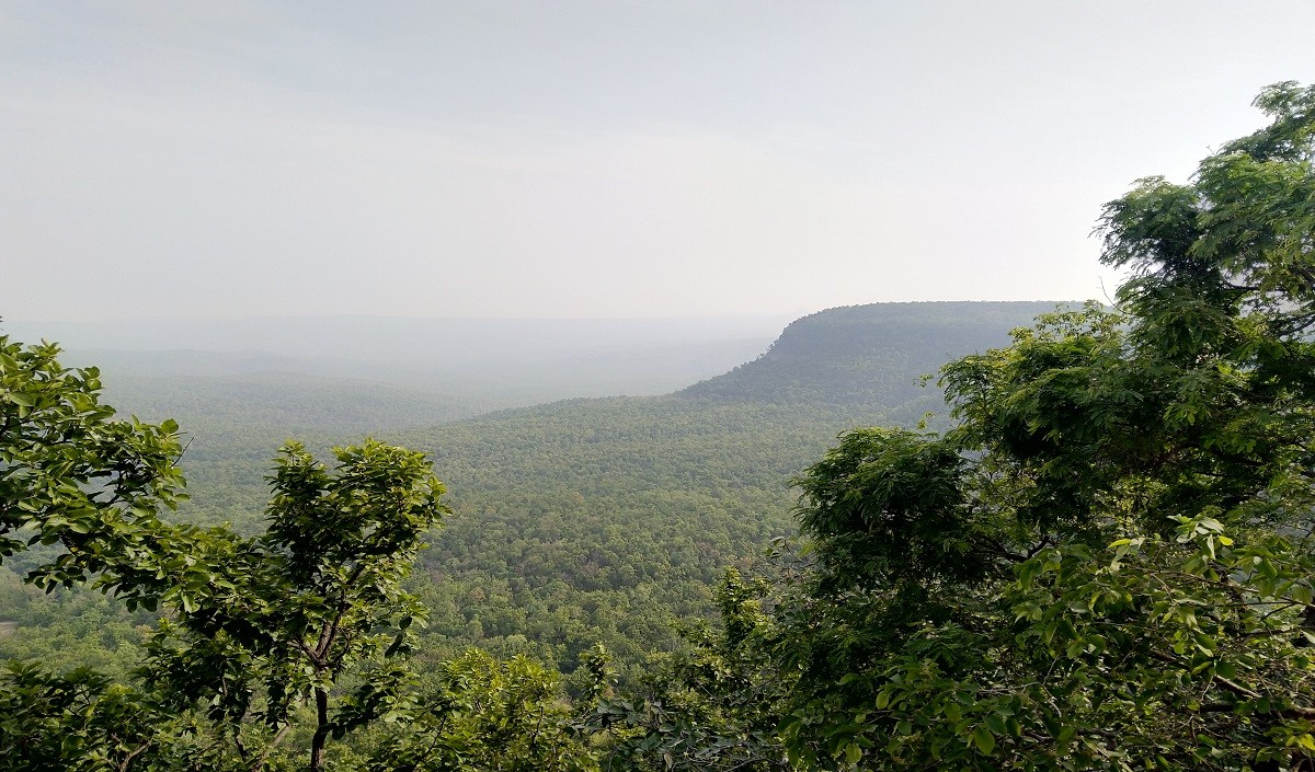 statue of chhattisgarh mahtari will be installed in all the districts ...